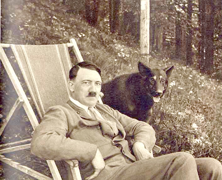 razas de perros: LOS PERROS DE HITLER