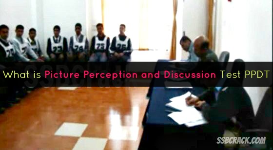 What is Picture Perception and Discussion Test PPDT
