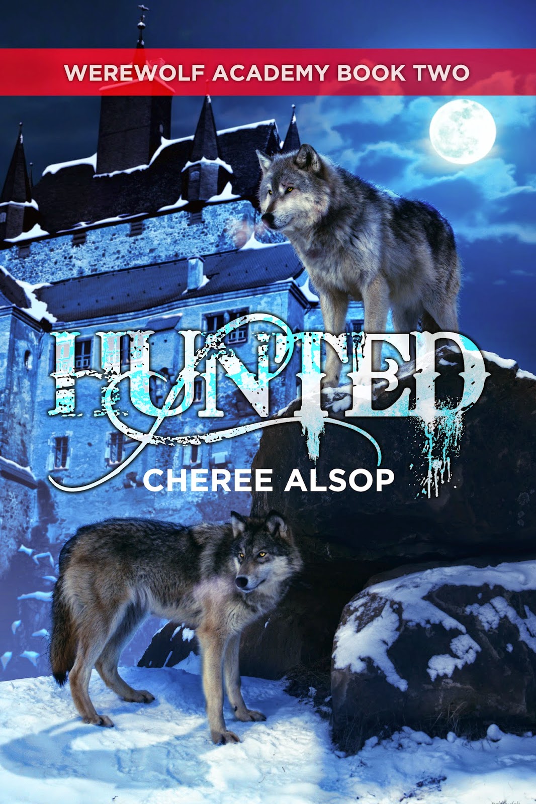 Kimber Leigh Writes: Series Spotlight: Strays & Hunted - Books 1 & 2 of ...