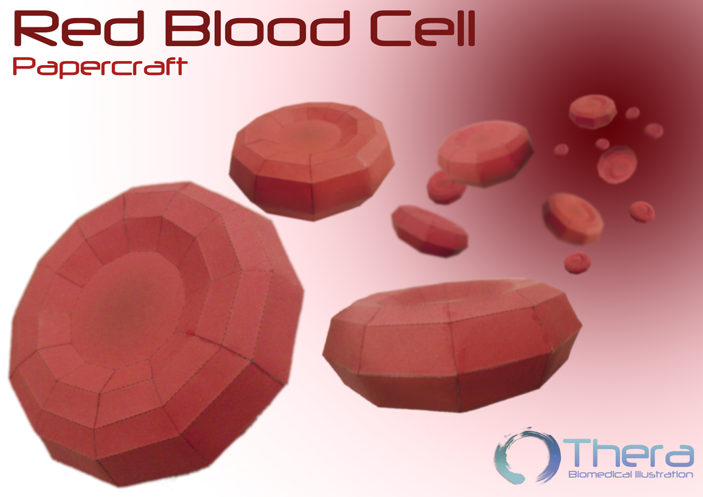 Red Blood Cell Papercraft | Papercraft Paradise | PaperCrafts | Paper ...