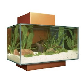 Fluval Edge, 12 gallon Aquarium with 42-LED Light, Black ~ Guide to ...