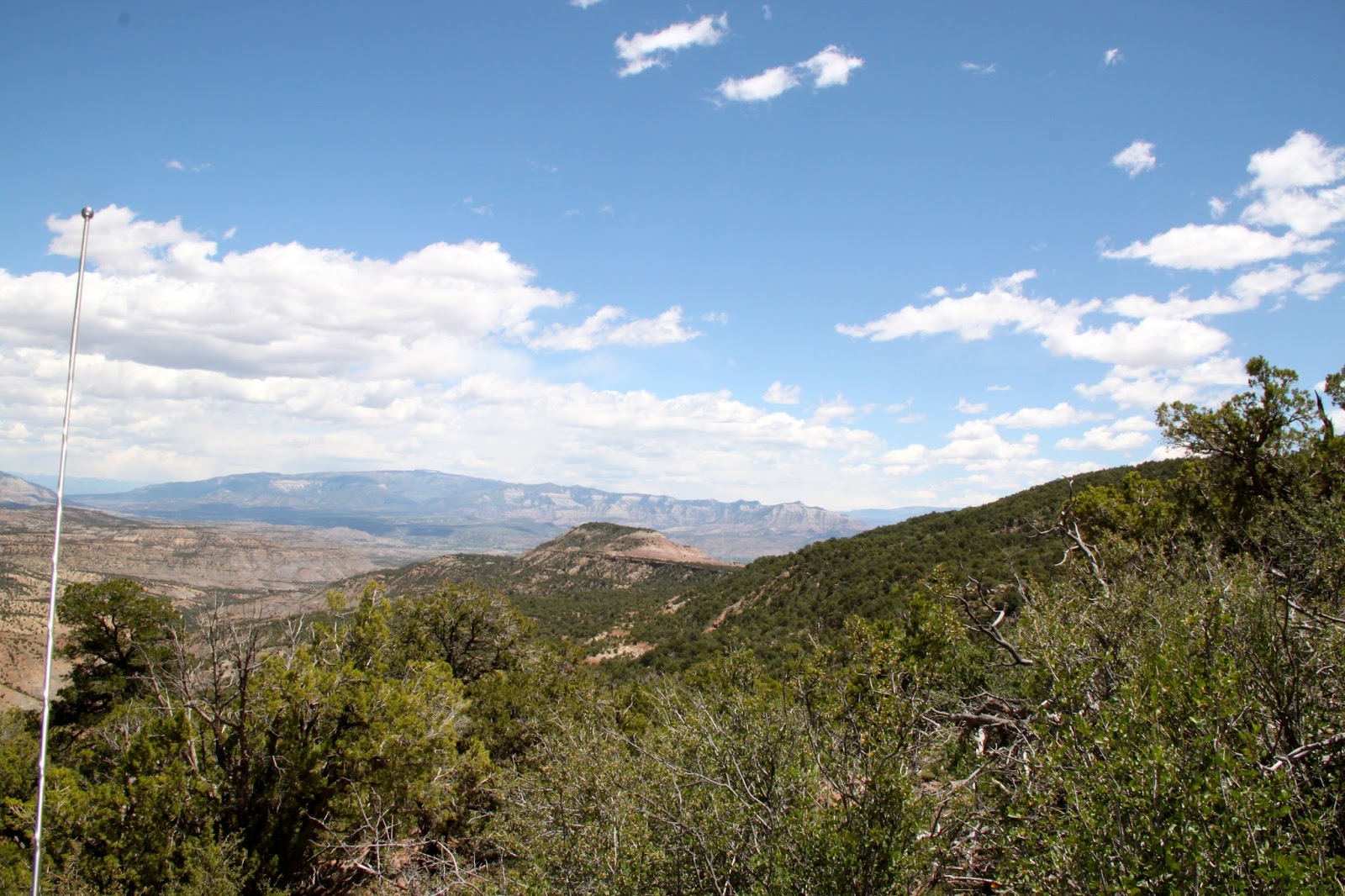 Coon Hollow Is Open: The Coon Hollow Jeep Trail