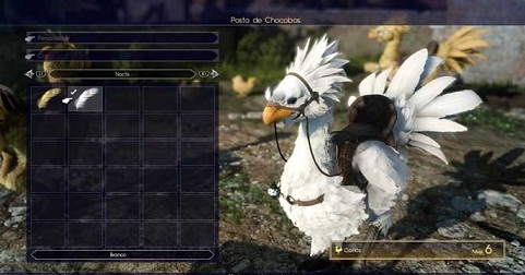 Final Fantasy15: Guide to customize and race with Chocobo