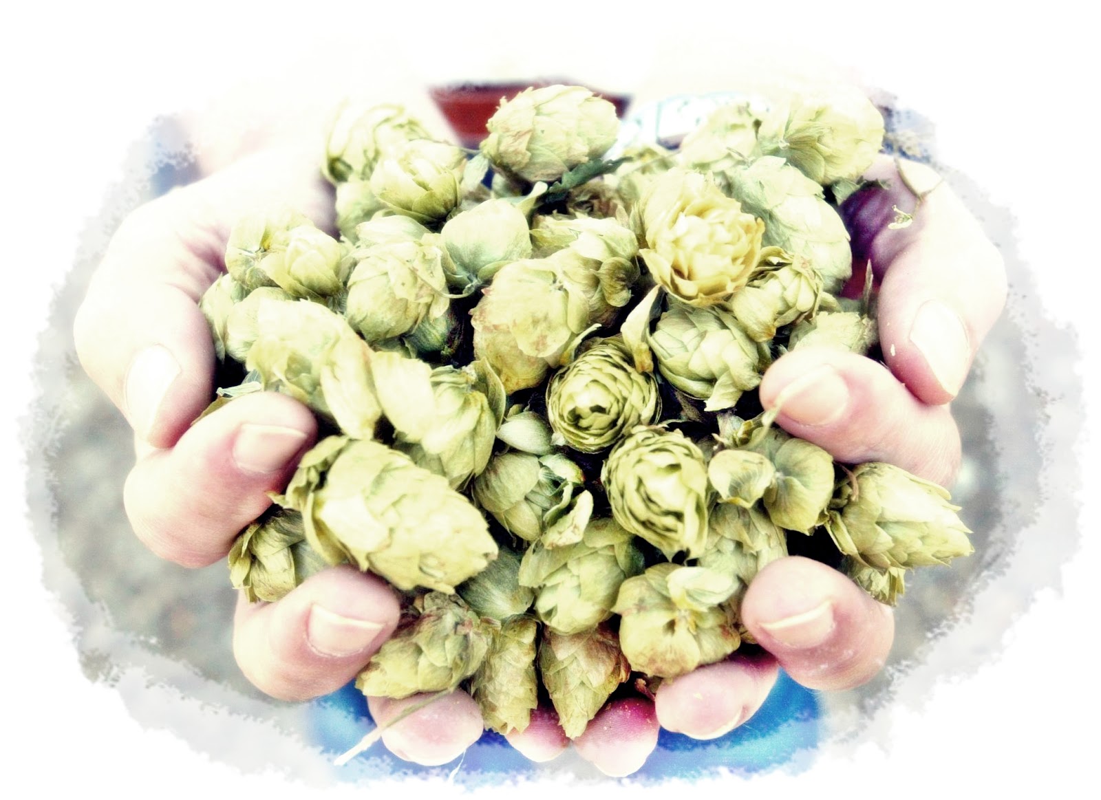 San Lúpulo 2012: Port Brewing a pares