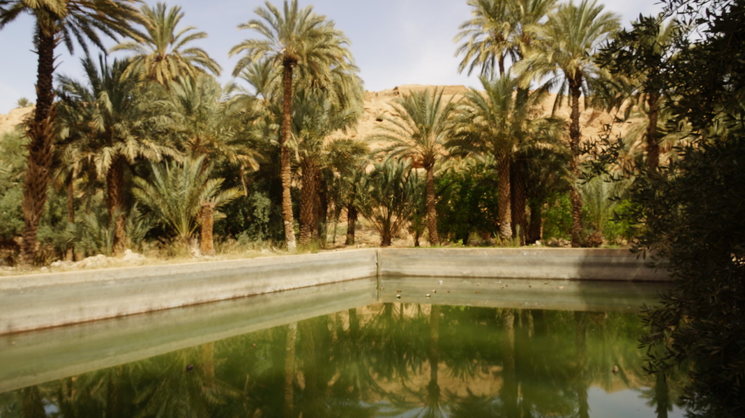 Notre tour du Maroc 2014: 02 avr - Visite au ksar Zenaga - Figuig