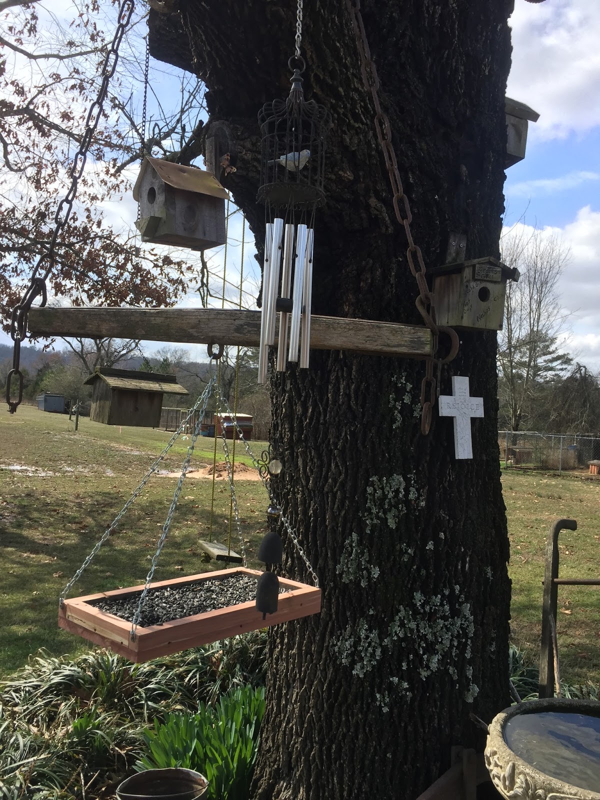 Galla Creek Ephemeris: New Flat Bird Feeder
