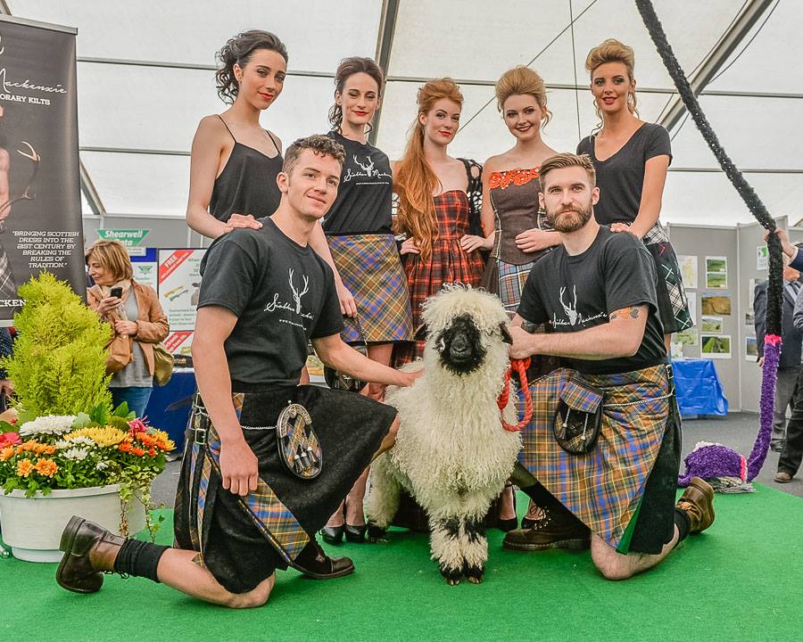 Superior Model Management