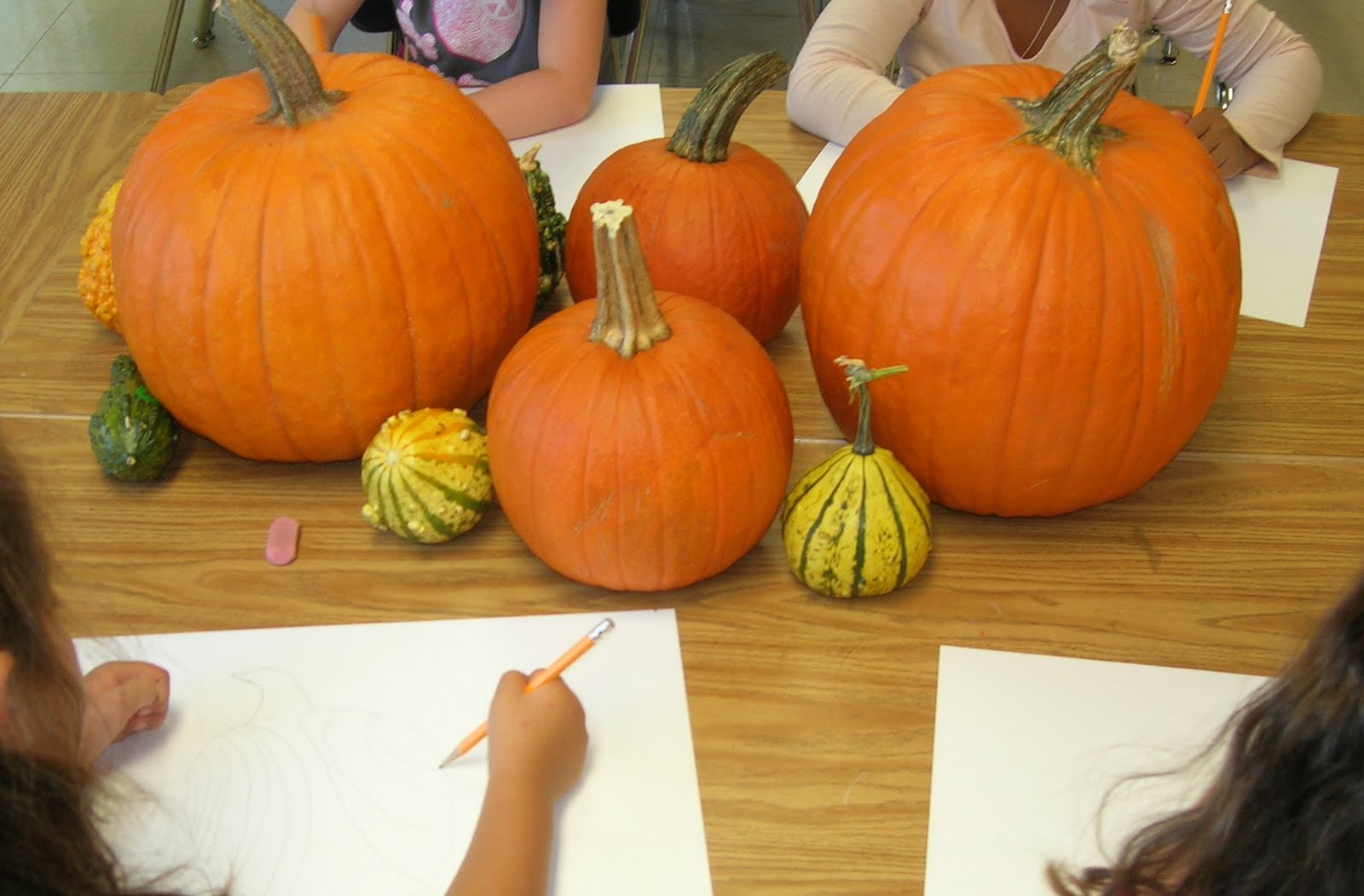 Artists For Kids: Pumpkin Still- Life