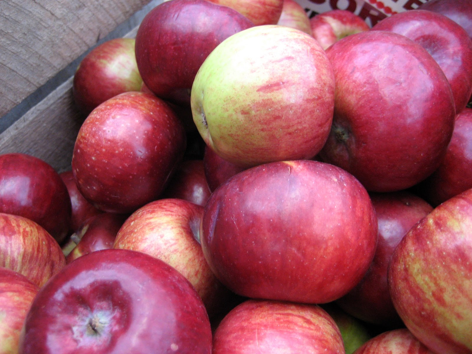 Justine's Halloween: Autumn Apple Traditions