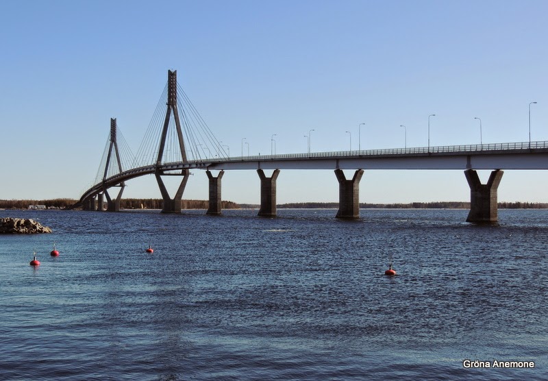 Gröna anemone: Friska vindar på Replotbron