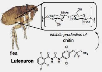 Luctor et Emergo: Do I have fleas? The secret of Lufenuron.
