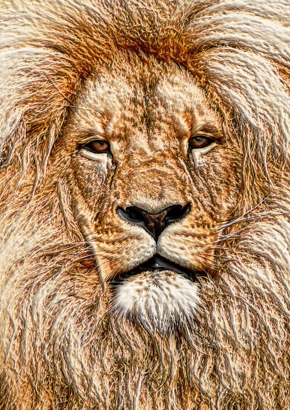 Andrea Busi - Lion face