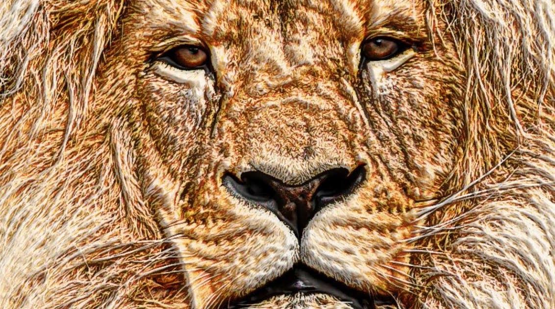 Andrea Busi - Lion face