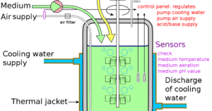 Plastics and Tools: Bioreactor dari material akrilik - plexiglas