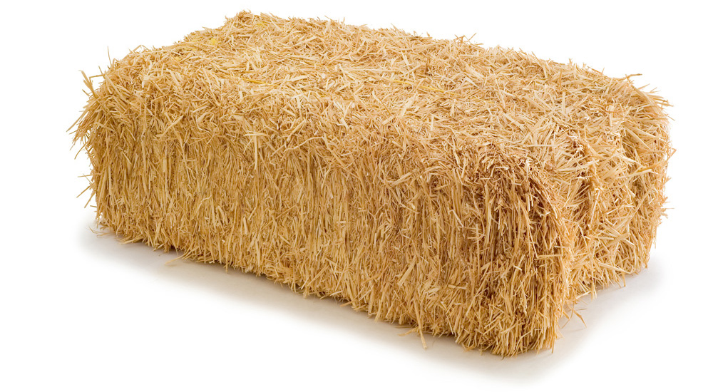 João Vinícius Pett: novembro 2011