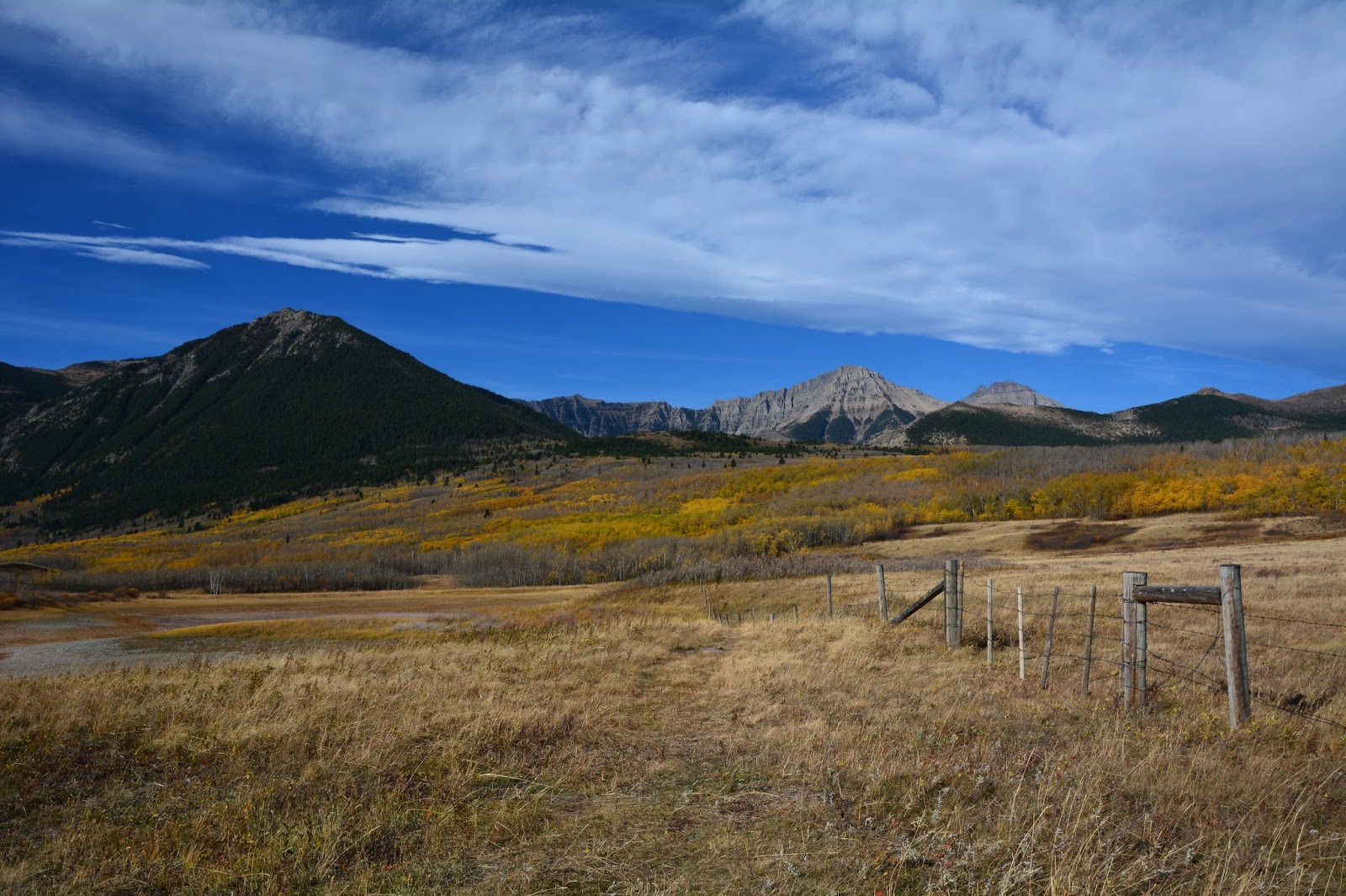 venturing4th: Horseshoe Basin and Lakeview Ridge