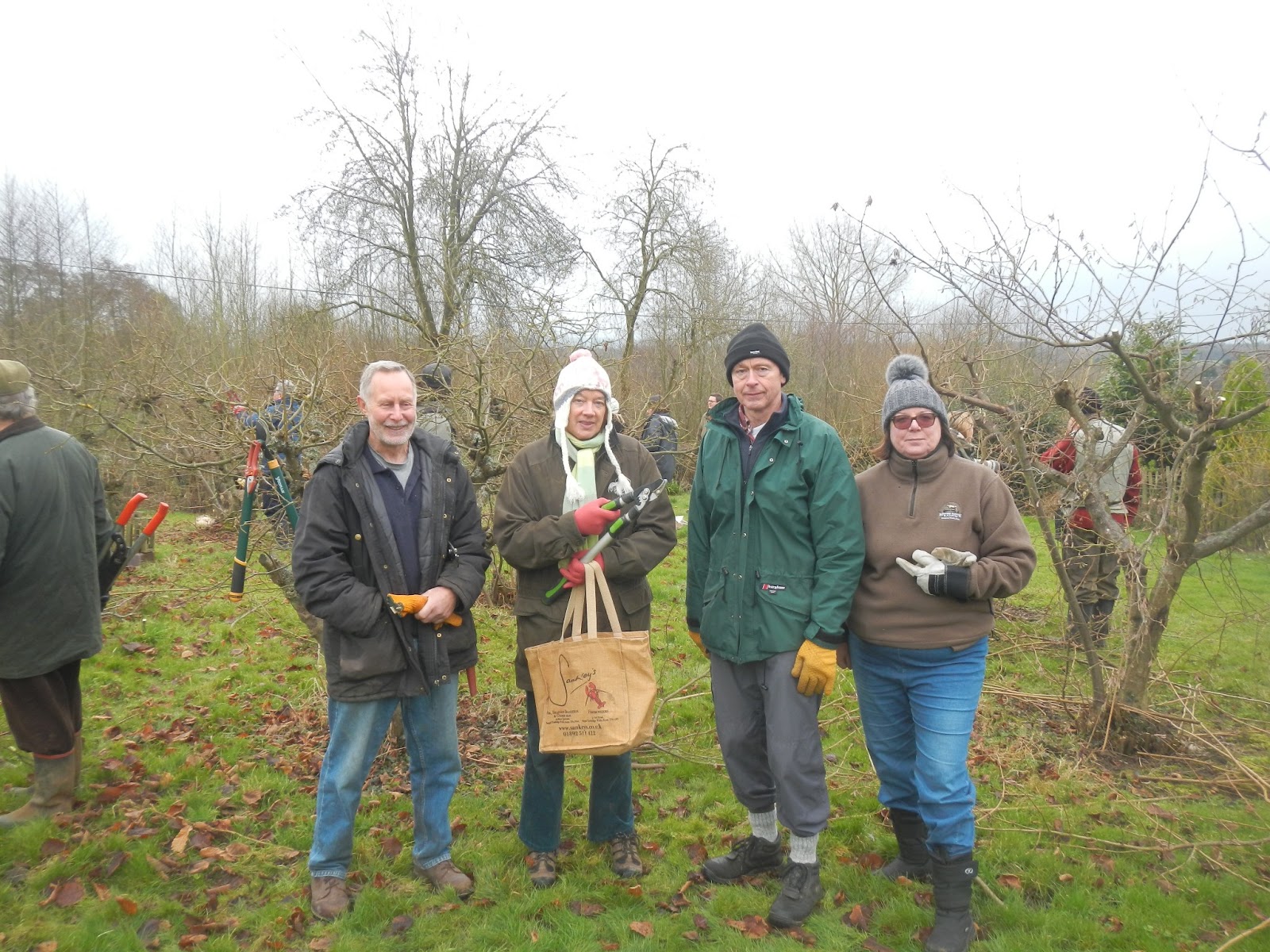Ightham Mote Cobnuts Project: Learning to prune cobnut trees