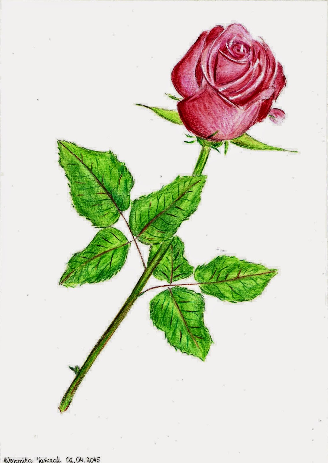 Rysunki kredką akwarelową mondeluz