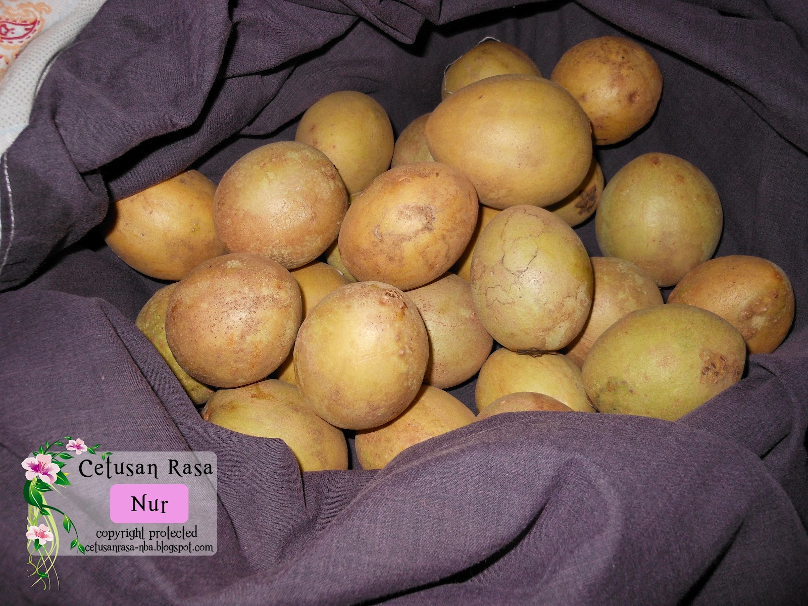 Cetusan Rasa: Khasiat Ciku