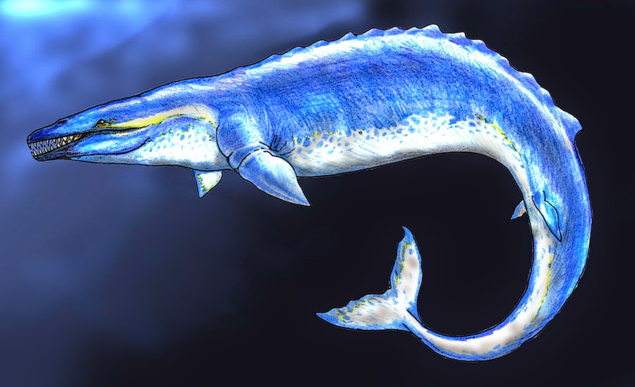 Actividades de Biología IV : Cuadro de .características de estrategia ...