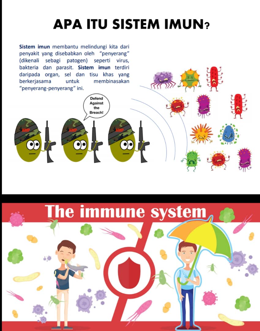 Tingkatkan Imuniti Untuk Tubuh Badan Yang Sihat
