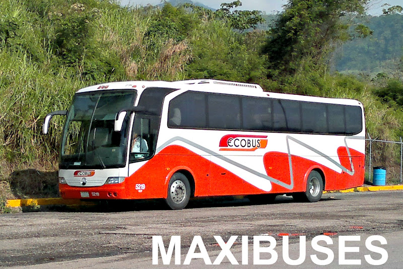MAXIBUSES: AUTOBUSES ECOBUS