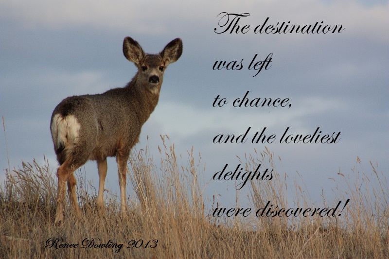 Positively Left to Chance