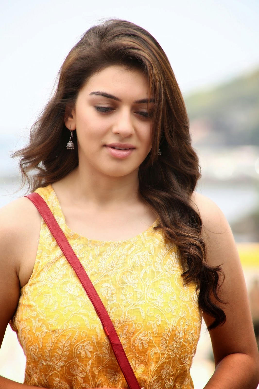 Hansika Motwani Latest Hot Sizzling Photos -Wallpapers celebritiewalls