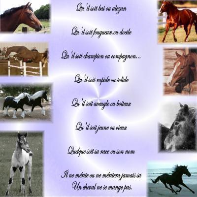 Mes amis les chevaux: poeme