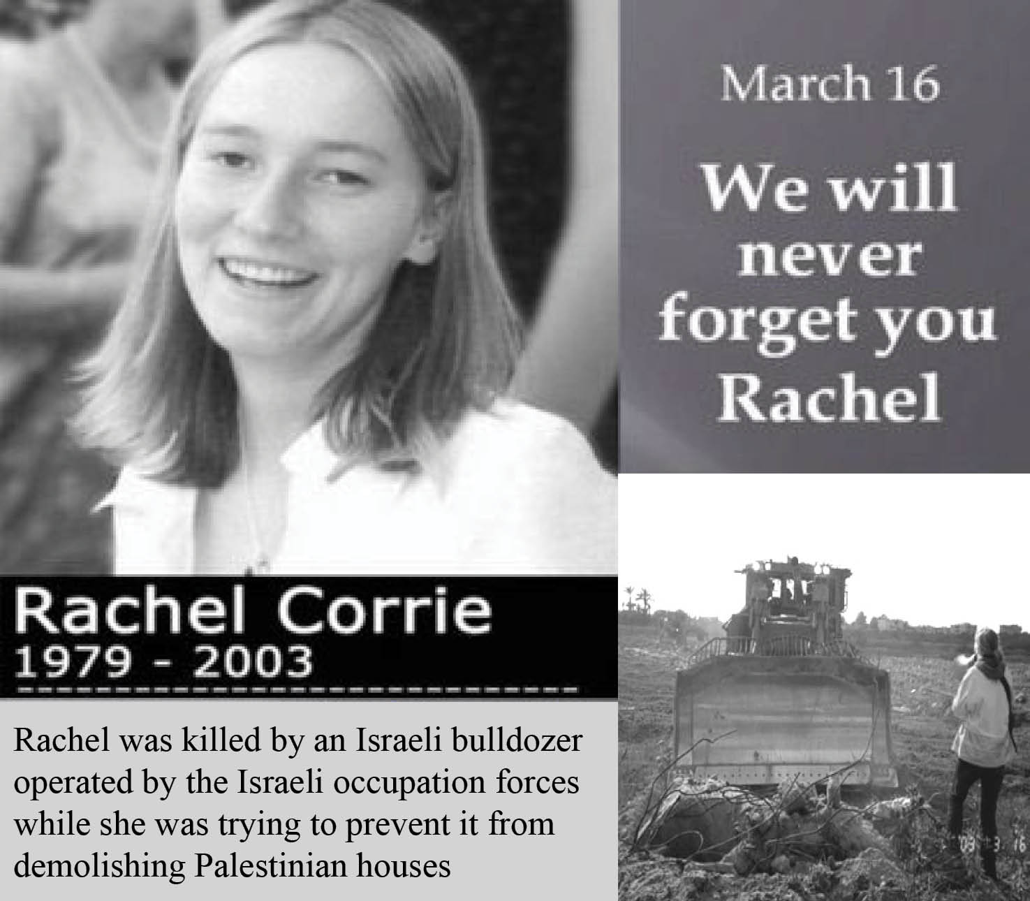 Life of Annie: A special UNSC's resolution, remembering Rachel Corrie ...
