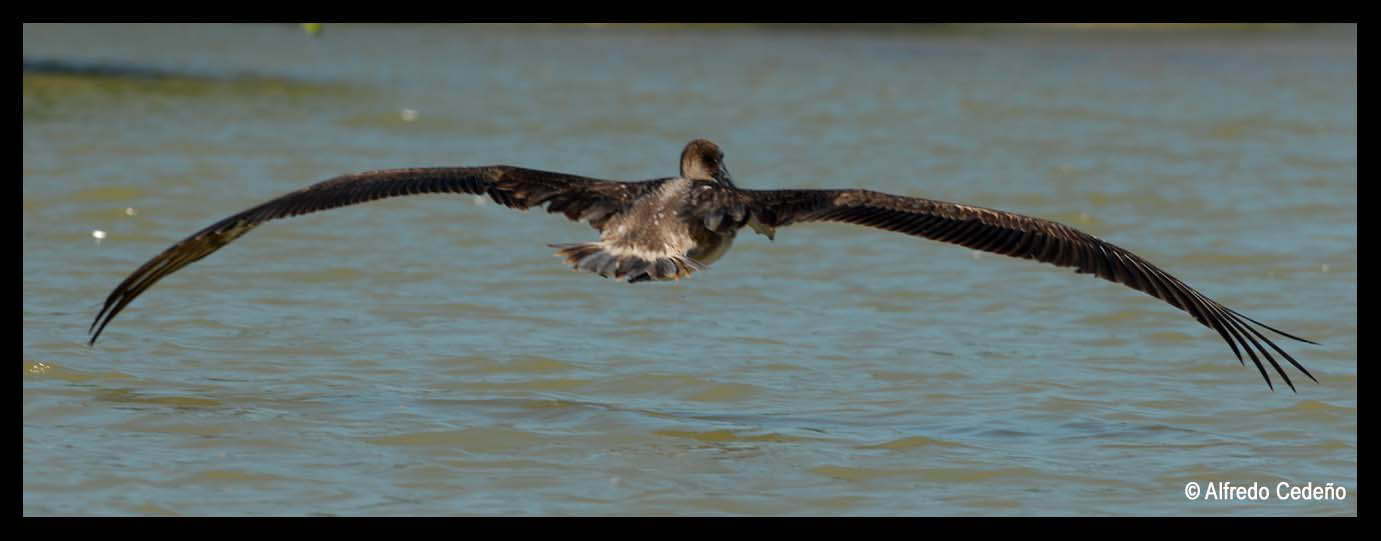 Textos y fotos: VOLADA