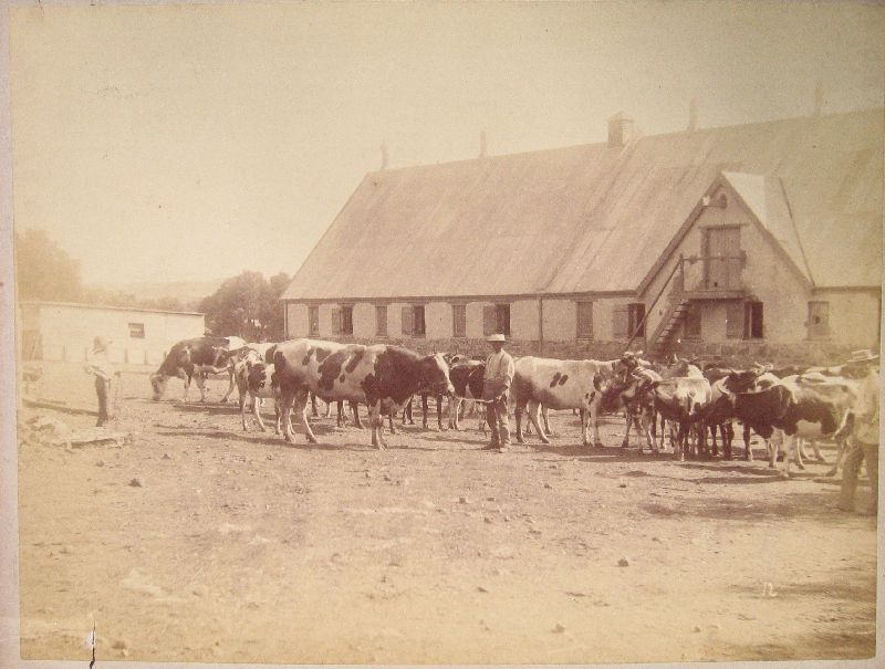 Melvin Residence: The Early History of Irene Farm