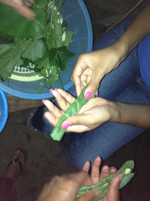 BPS: Educator Service Learning Trip to Guatemala : Day Five: Learning ...