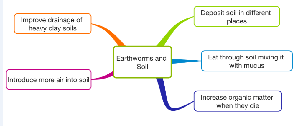 Magh Ag Sci: Earthworms and Soil