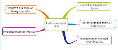 Magh Ag Sci: Earthworms and Soil