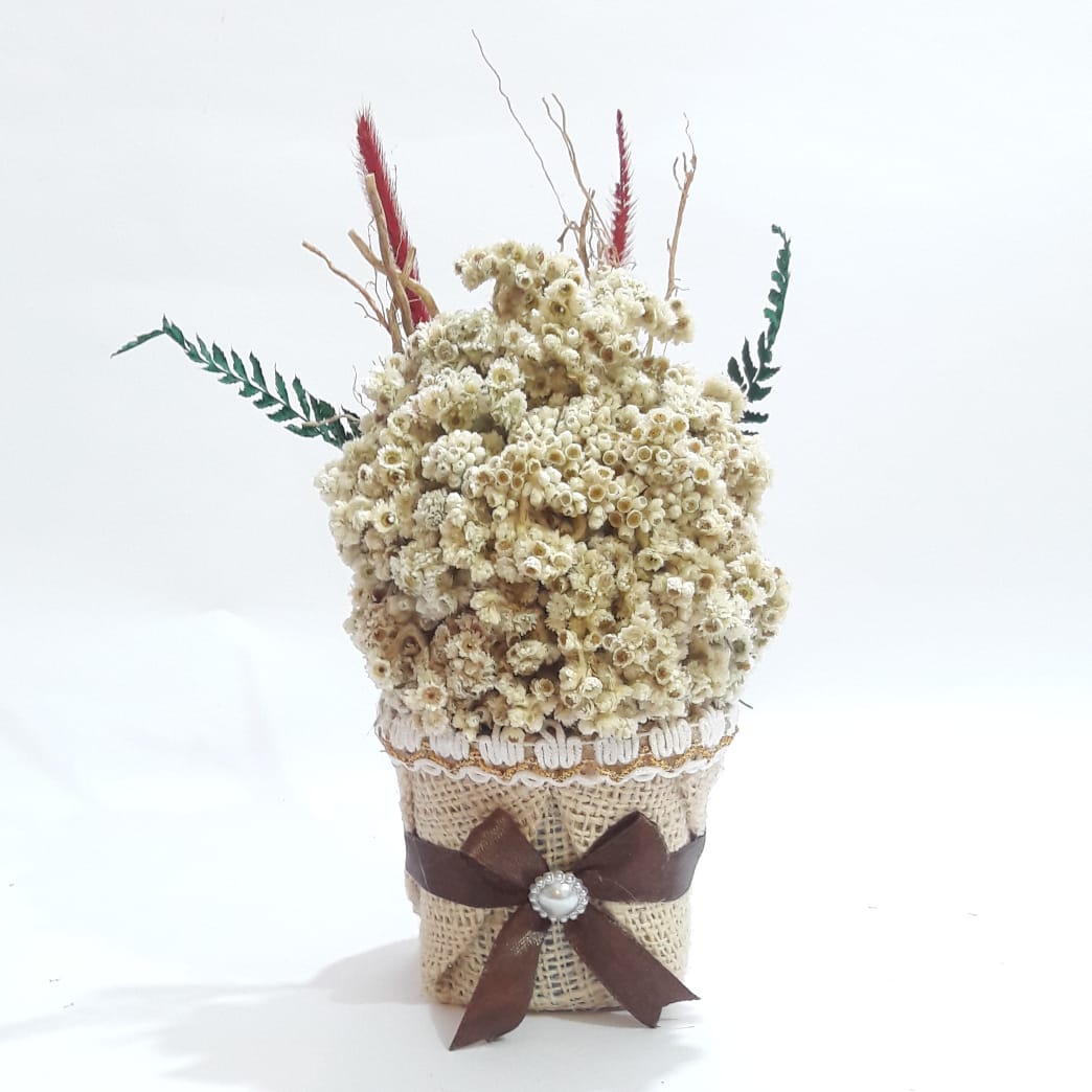 12+ Ide Bunga Edelweis Kering, Gambar Bunga