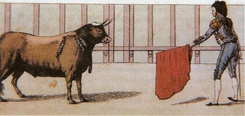 Enroque de ciencia: Los toros embisten al color rojo (y II)