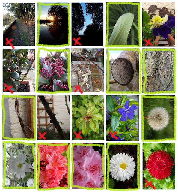 GCSE Graphics Unit 1: Contact Sheet