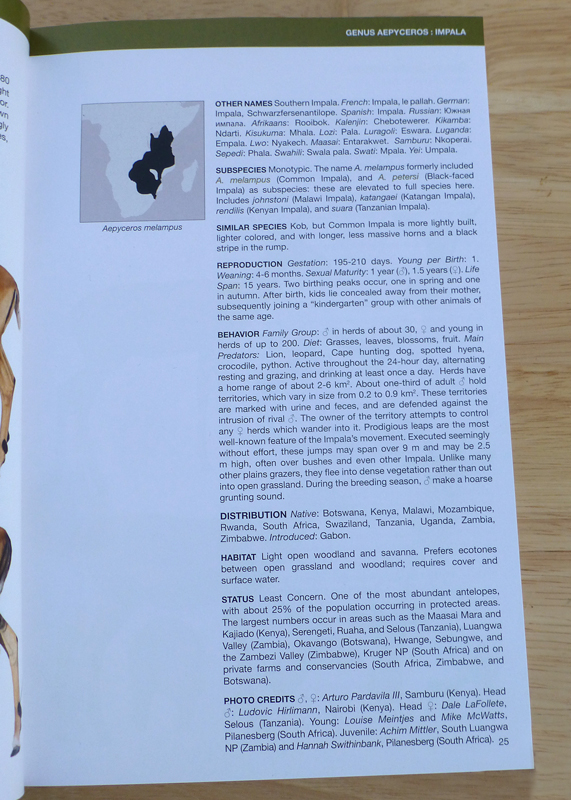 Bovines of the world by Jose R Castello Book Review | Gadget Review