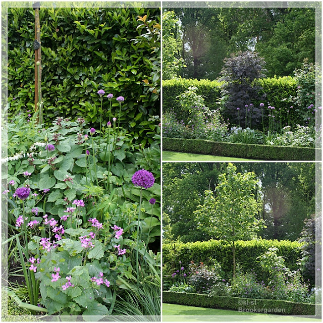 kleiner-staudengarten: Zu Besuch im Brookergarden