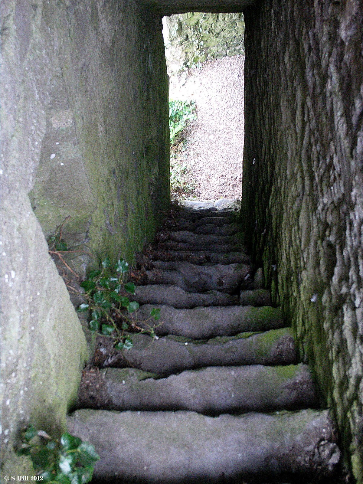Ireland In Ruins: Cullahill Castle Co Laois