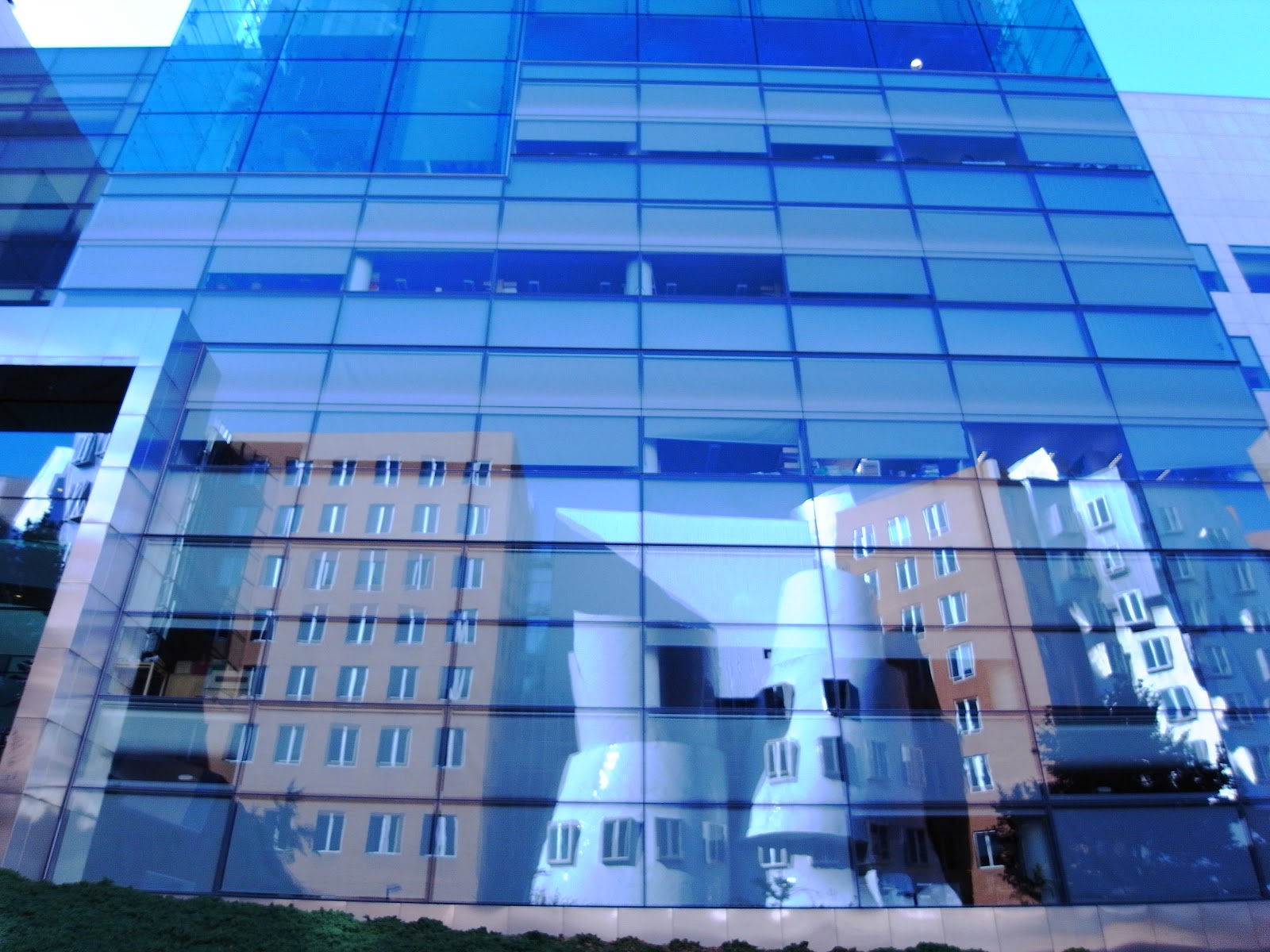 Architectural Tour in MIT 01 | architorture but pleasure.