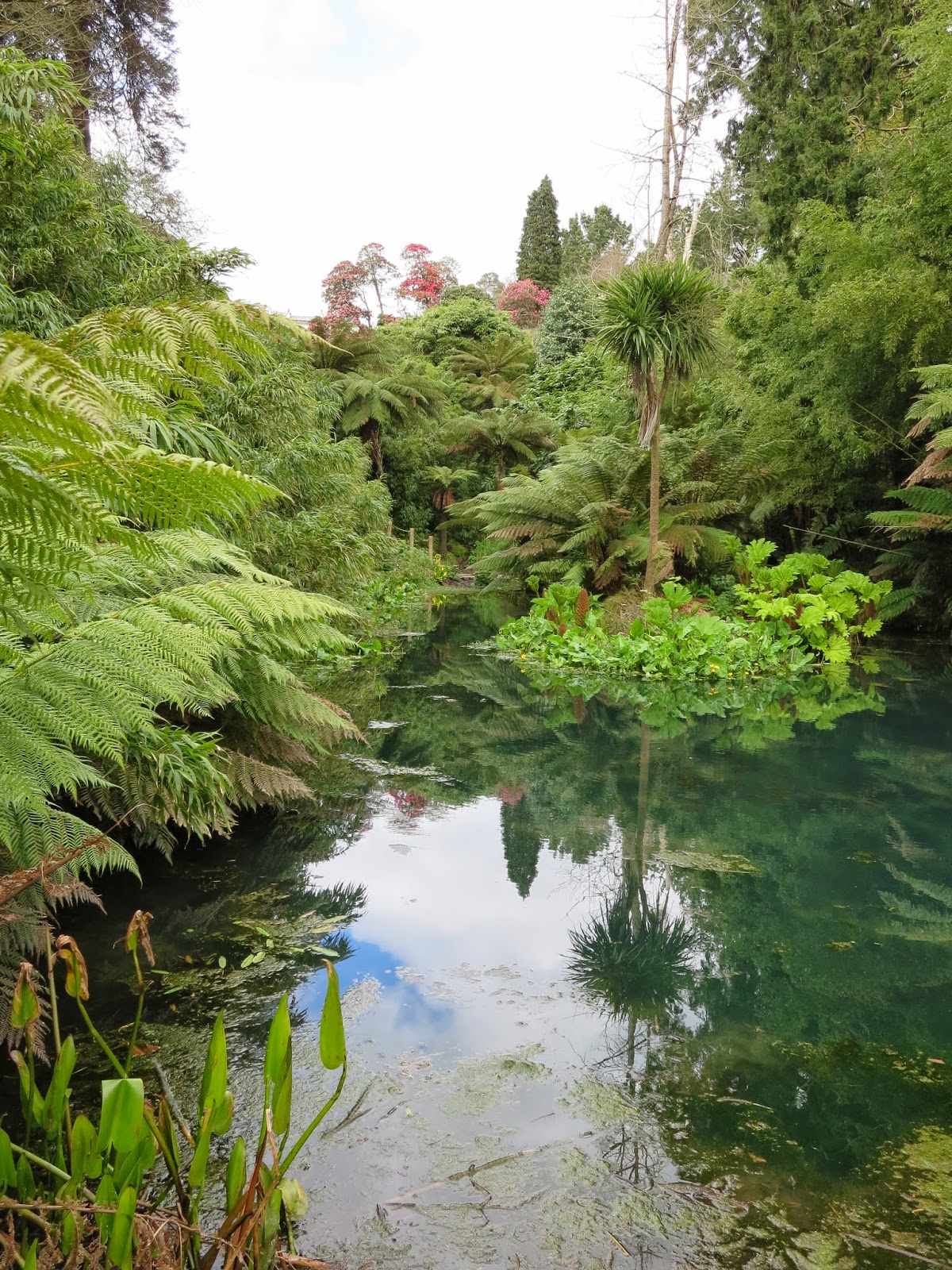 JamMK: The Lost Gardens of Heligan