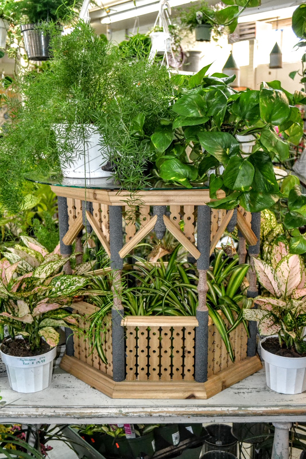 The Outlaw Gardener: Kent East Hill Nursery: Off to a Great Start!