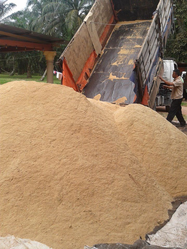 saifulam-agrofarm: Stok baru Habuk Kayu Getah sampai di Farm