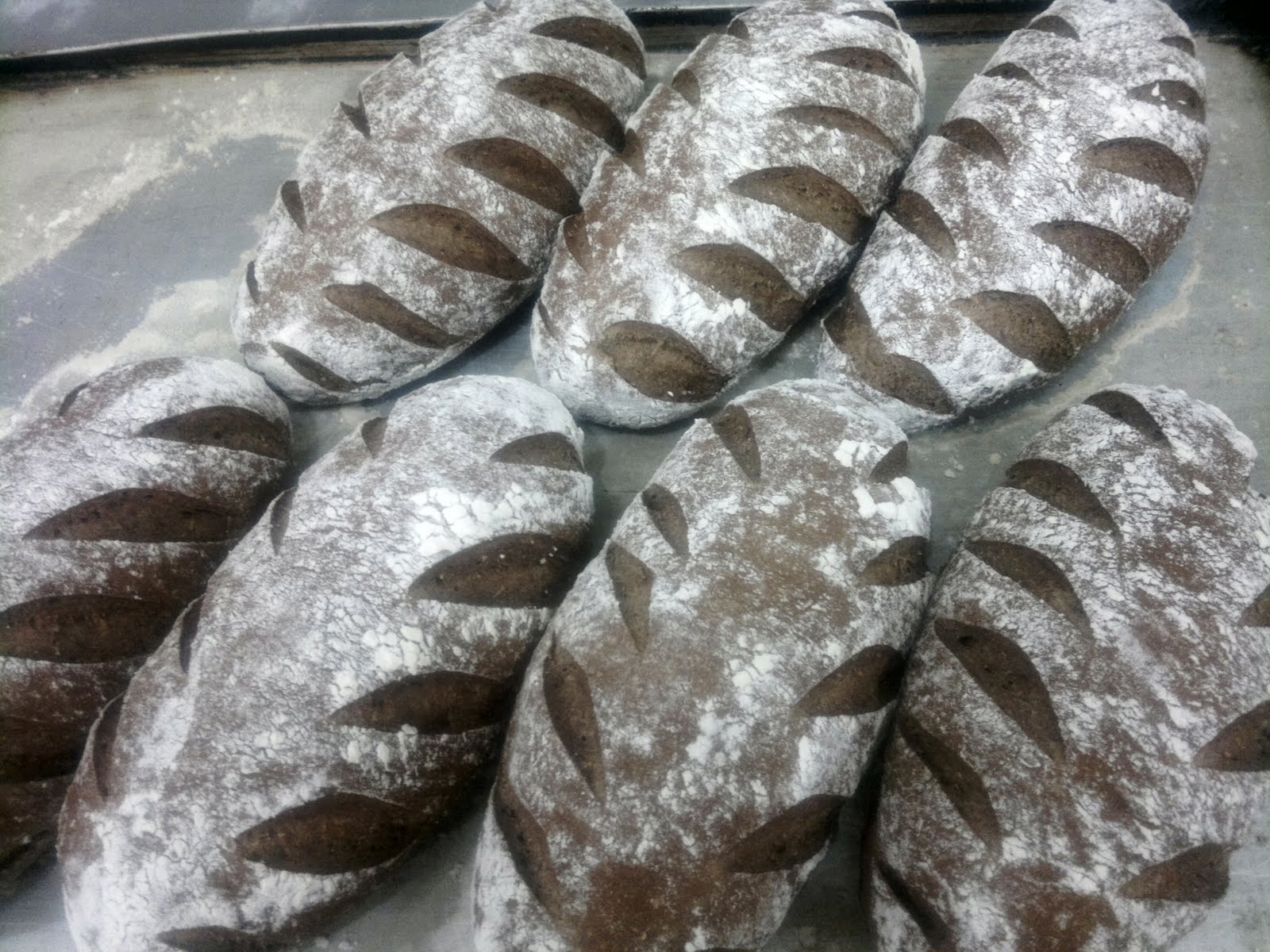 PANIFICANDO: Pão Preto