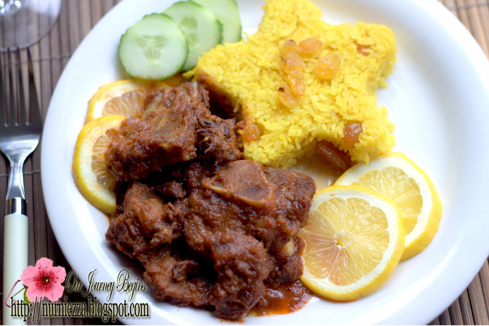 Our Journey Begins: NASI LEMON