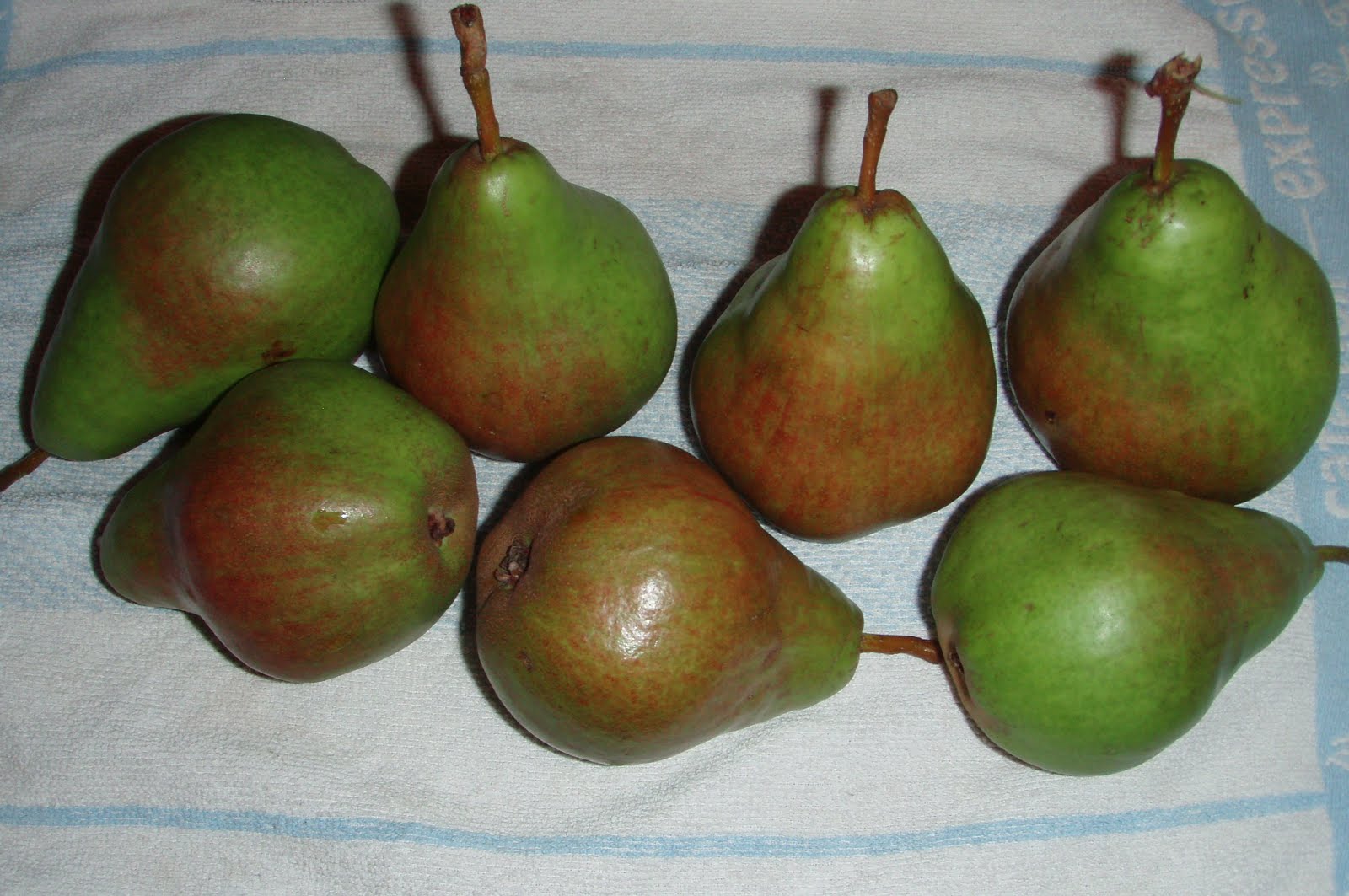 The Urbane Forager: Chunky Pear and Walnut Chutney