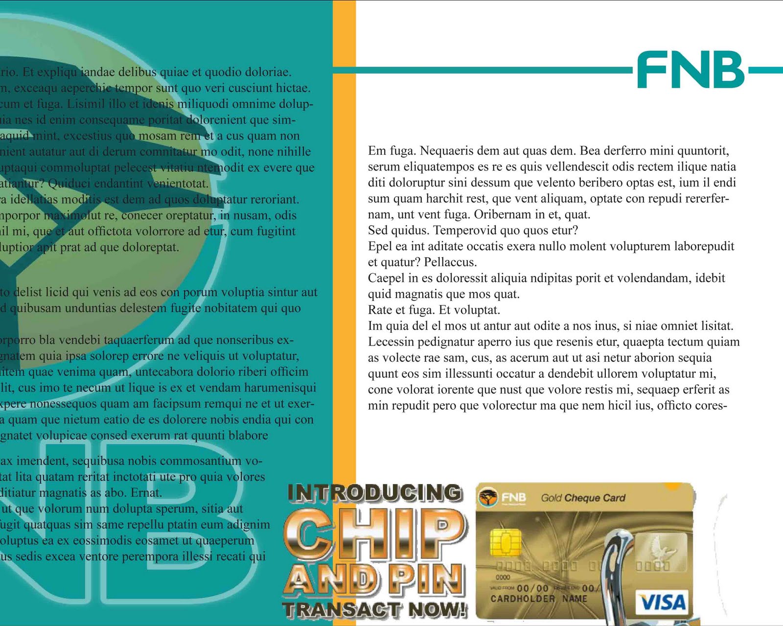 splatterdrips: FNB brochure and business card
