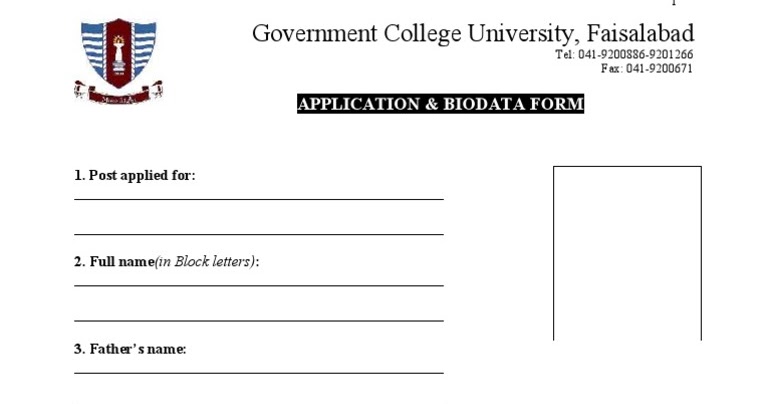 Biodata format for job application